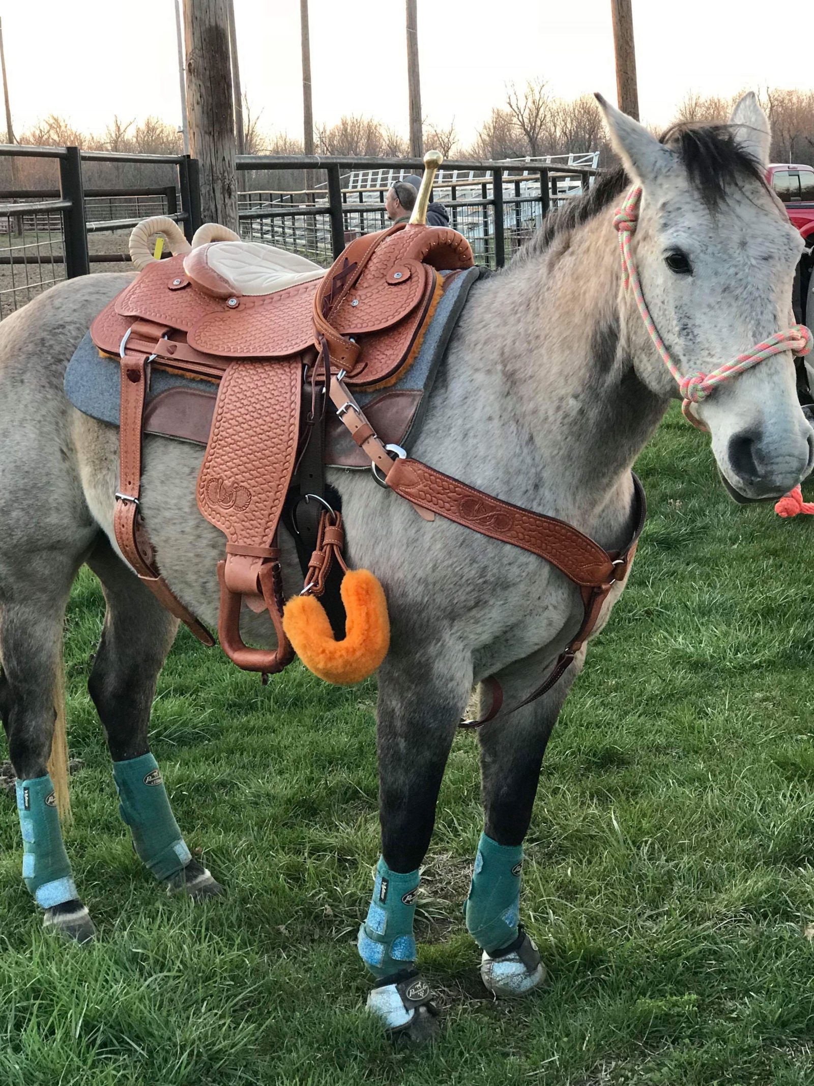 Breast Collars, Straps and Repairs – Nealey Saddles